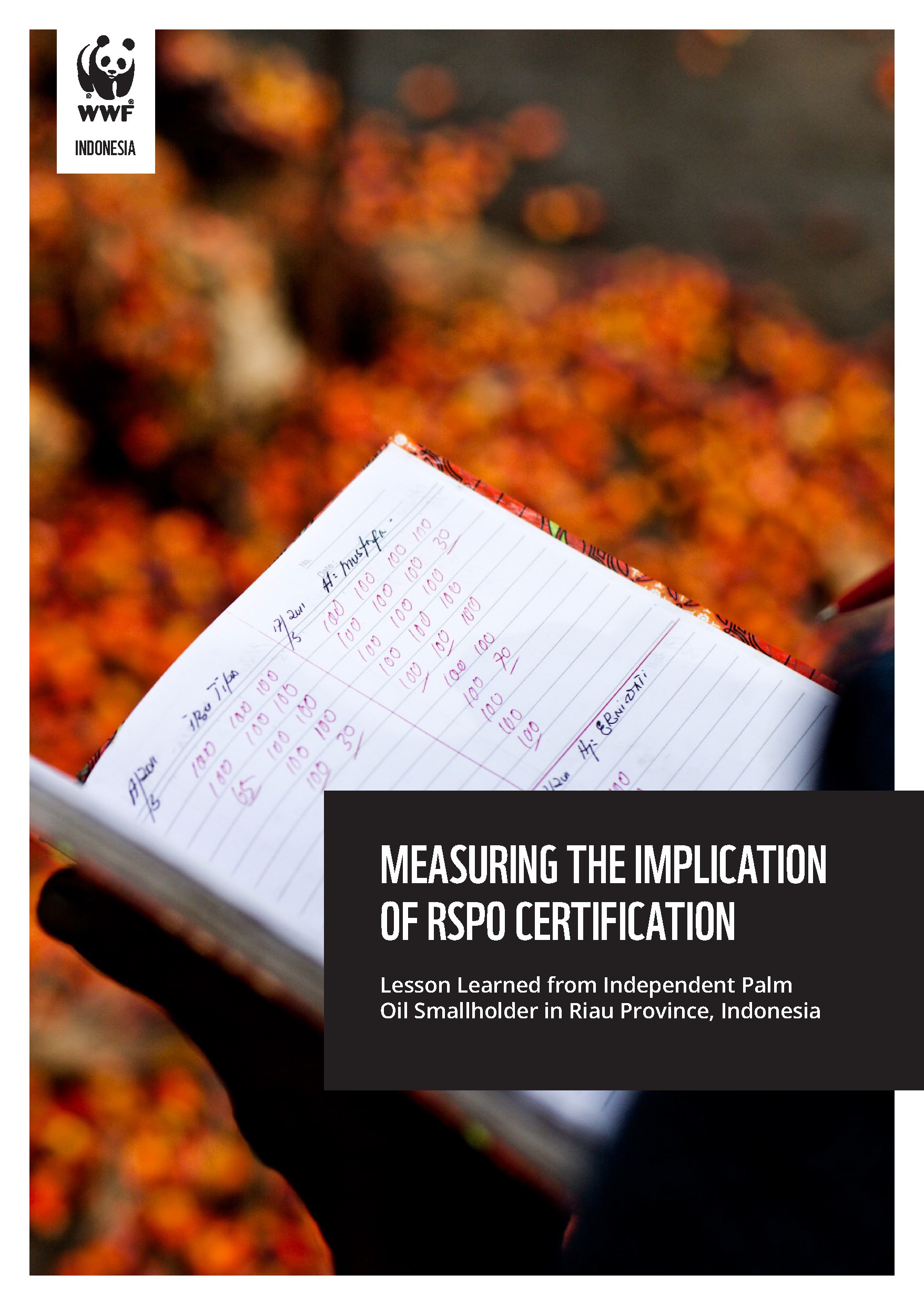 MEASURING THE IMPLICATIONS OF IMPLEMENTING RSPO CERTIFICATION: A LEARNING PROCESS FROM ...